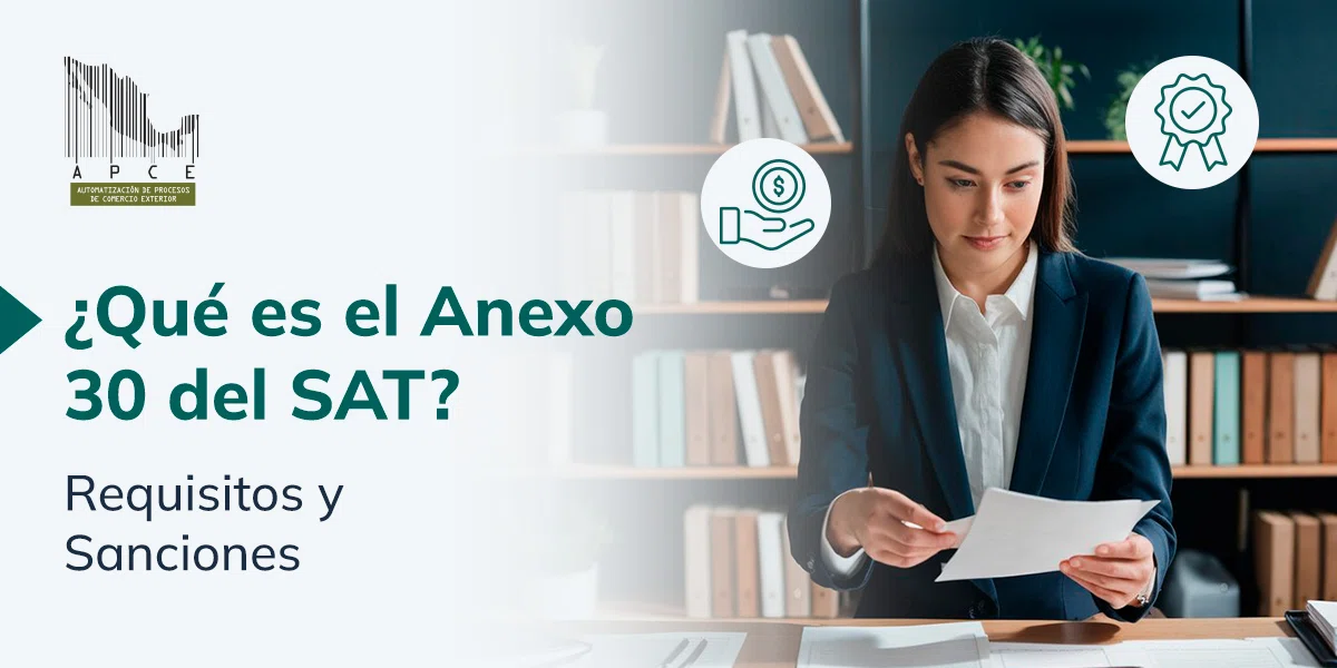 ≫ ¿Qué es el Anexo 30 del SAT? | Requisitos y Sanciones