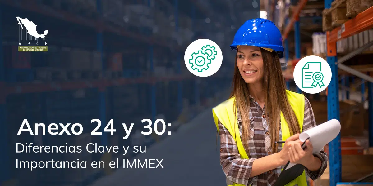 Anexo 24 y 30 » Diferencias Clave y su Importancia en el IMMEX