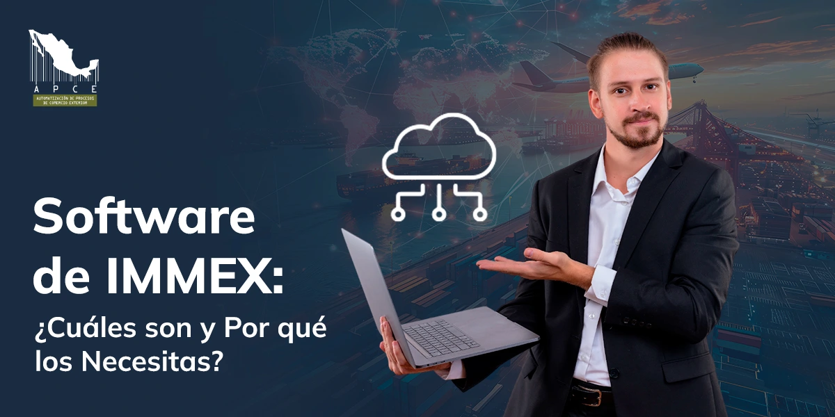 ᐅ Software de IMMEX: ¿Cuáles son y Por qué los Necesitas?
