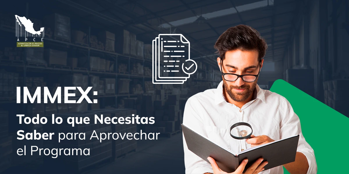 IMMEX: Todo lo que Necesitas Saber para Aprovechar el Programa