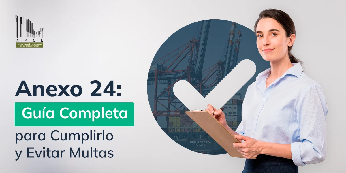 Anexo 24: Guía Completa para Cumplirlo y Evitar Multas