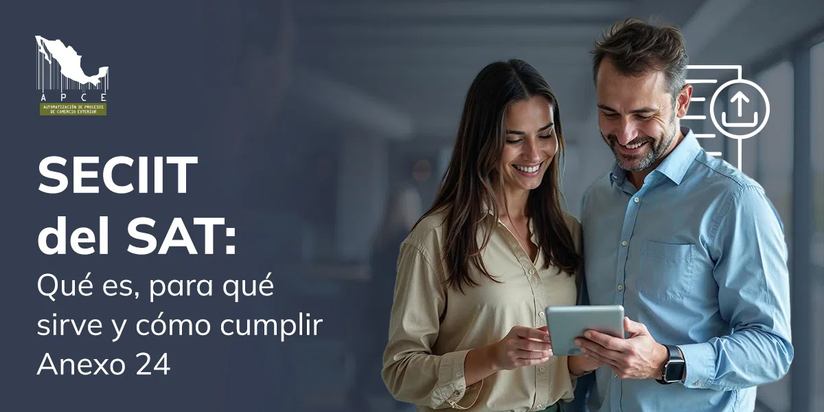 SECIIT del SAT: Qué es, para qué sirve y cómo cumplir Anexo 24